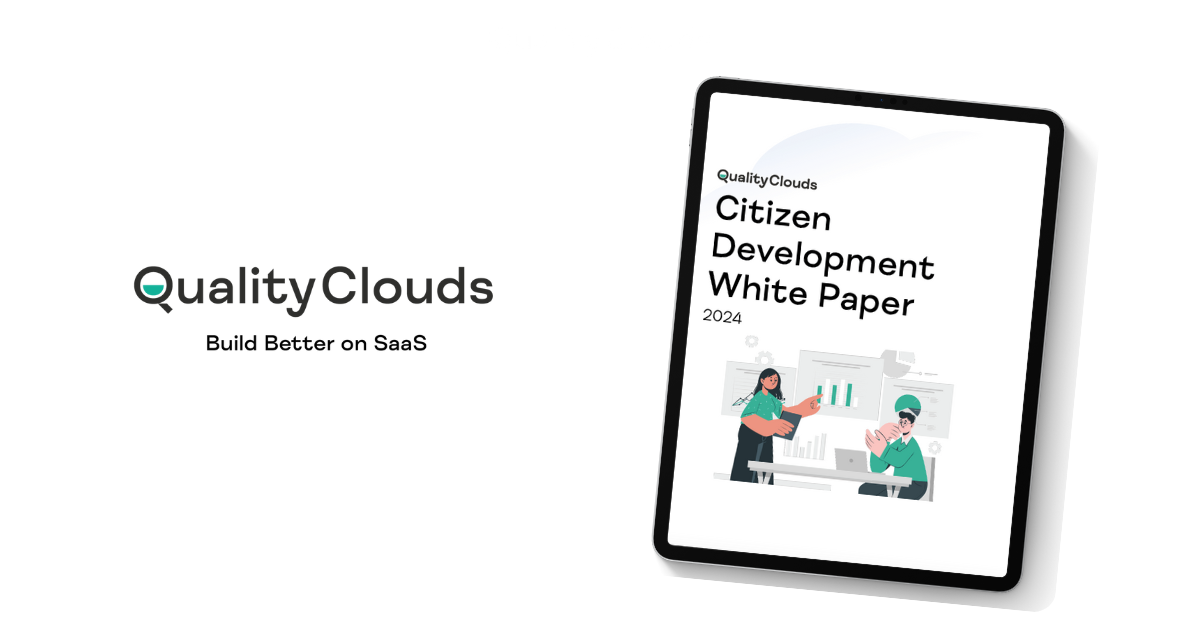 Citizen Development Report 2024